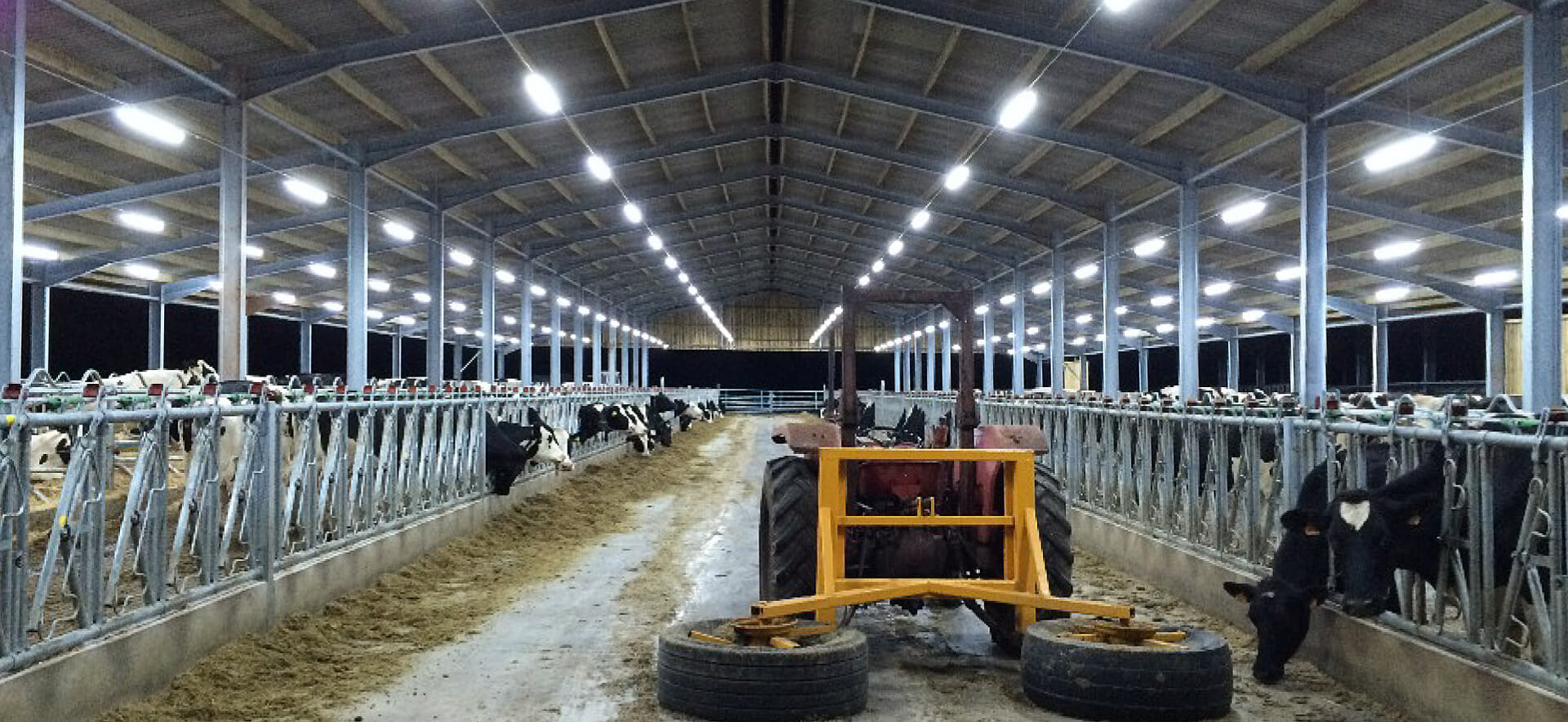 Alltech E-CO2 confirms a farm using DairyLight had had a milk yield ...